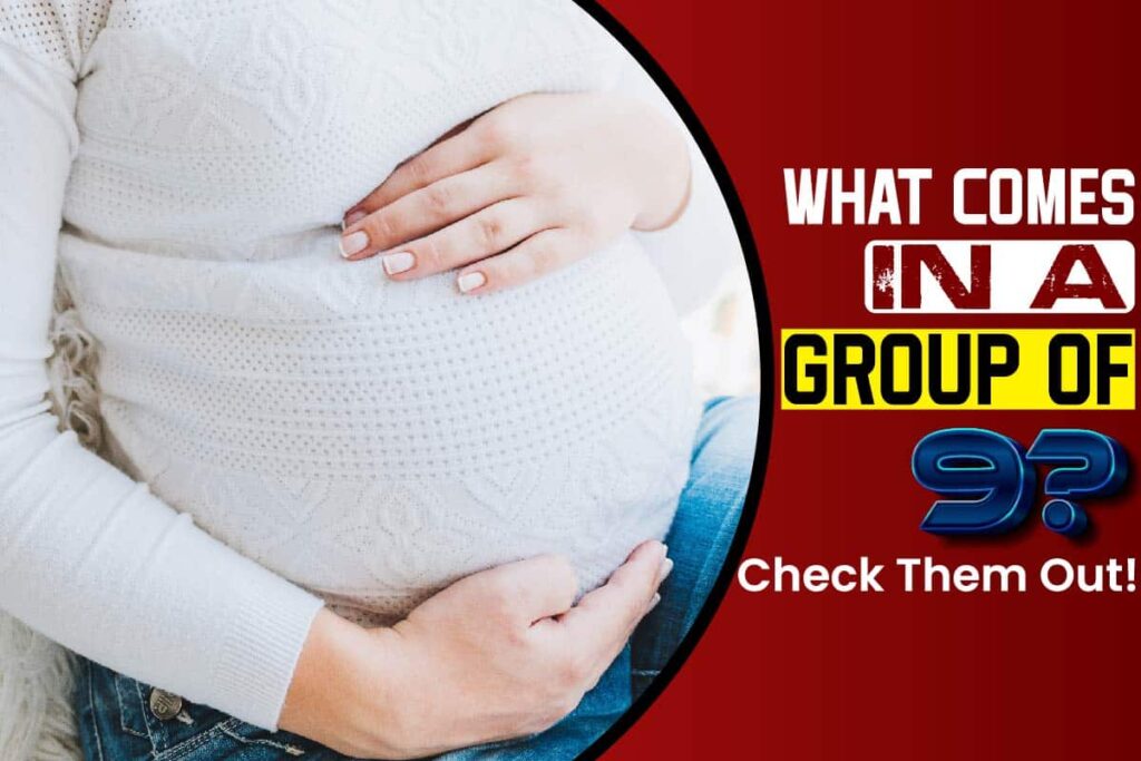 What Comes In A Group Of 9? Check Them Out! - Johnny Holland