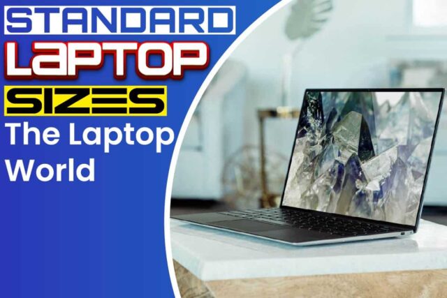 Standard Laptop Sizes: The Laptop World - Johnny Holland